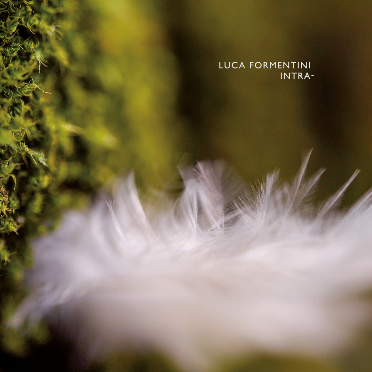 Intra- | Luca Formentini official