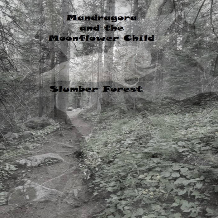 Slumber Forest | Mandragora Moonflower