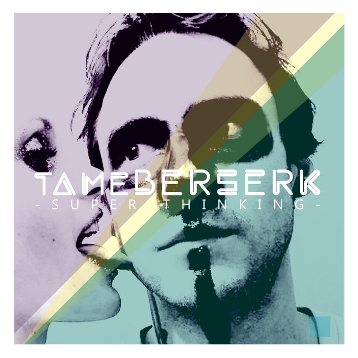 Super Thinking | tameBERSERK