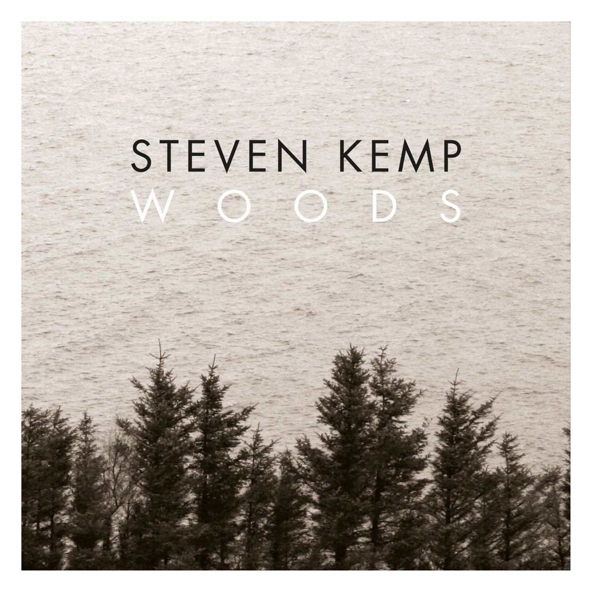 Woods | Steven Kemp