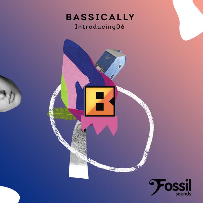 Introducing 06 | Bassically