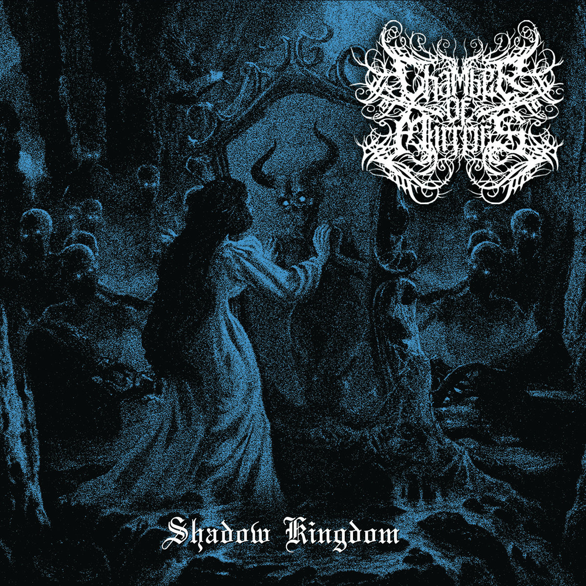 Shadow Kingdom | Chamber Of Mirrors | Viking Digital Music Distribution