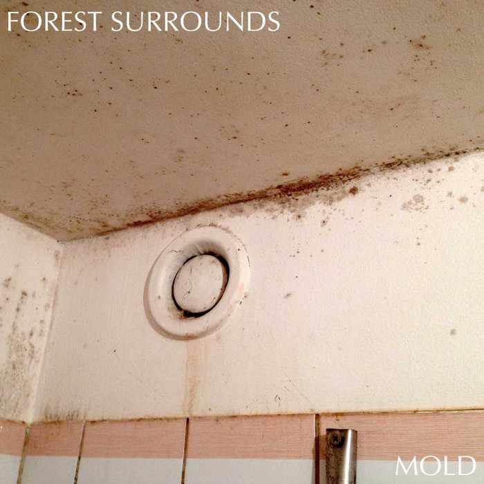 Mold | Forest Surrounds