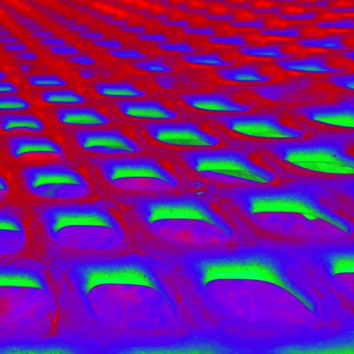 impermanence is the nature of reality | David Beardsley