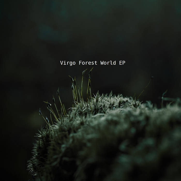 Forest World EP | Virgo | FORM@ RECORDS