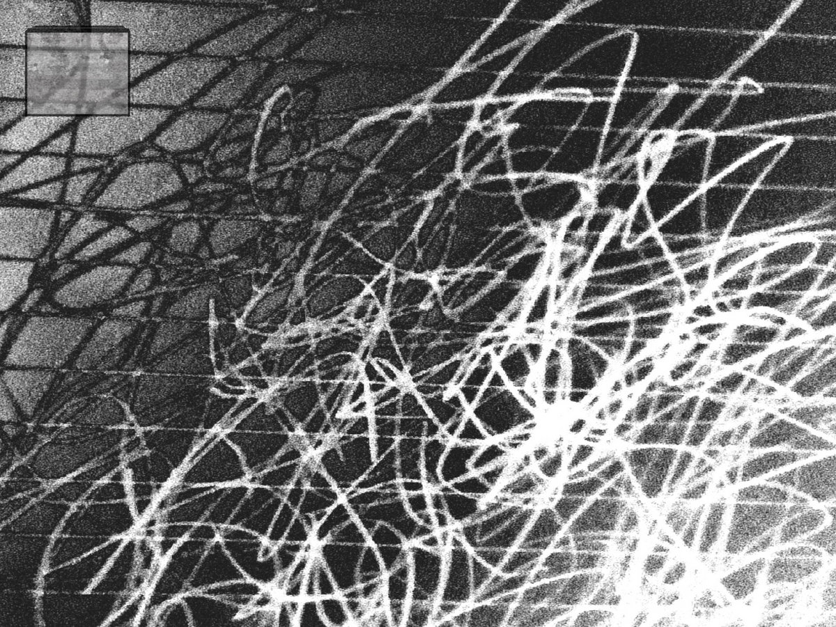 Scrawl | Errant Static