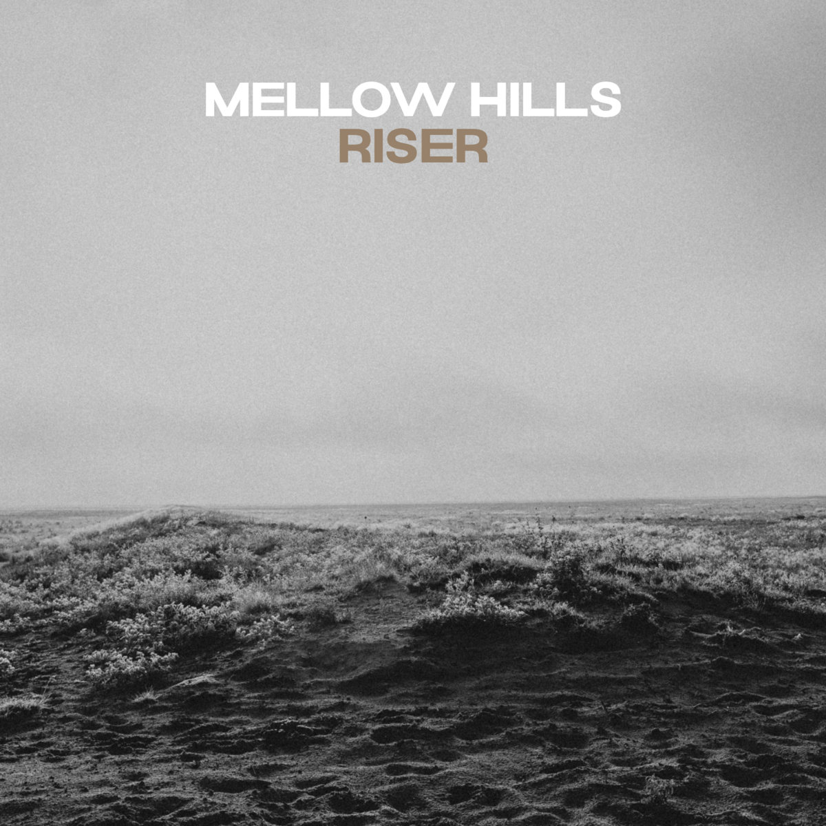 Riser | Mellow Hills