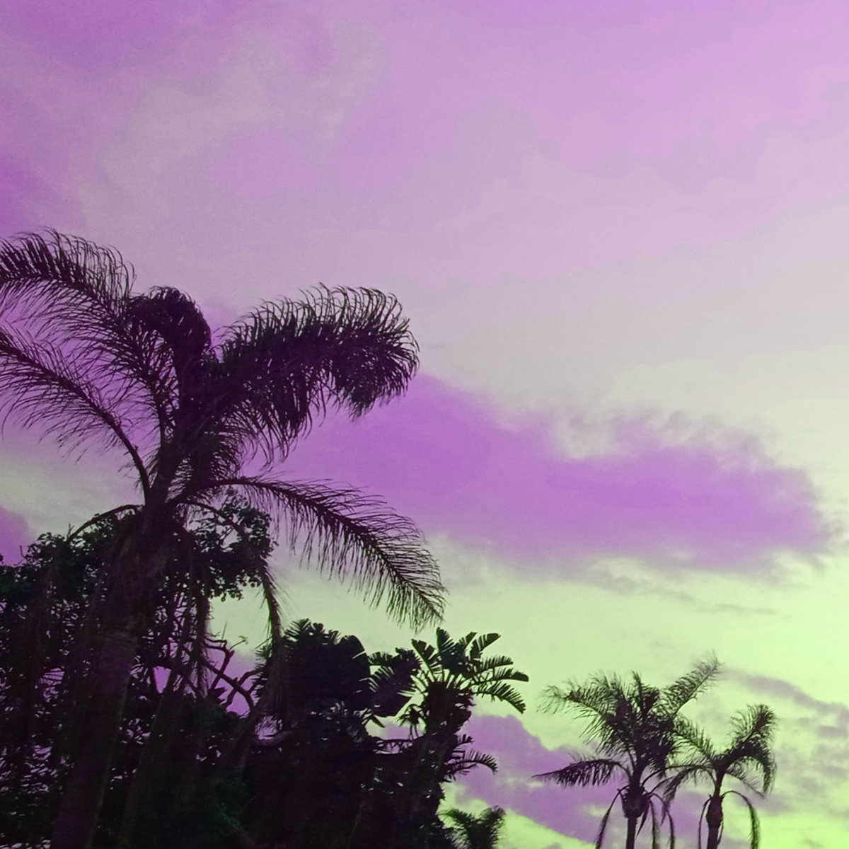 SKYFALL | Alex van Zyl