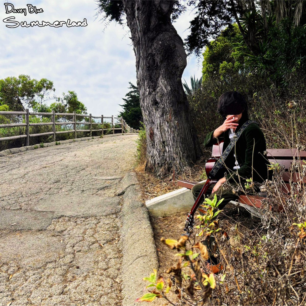 Summerland | Davey Blue