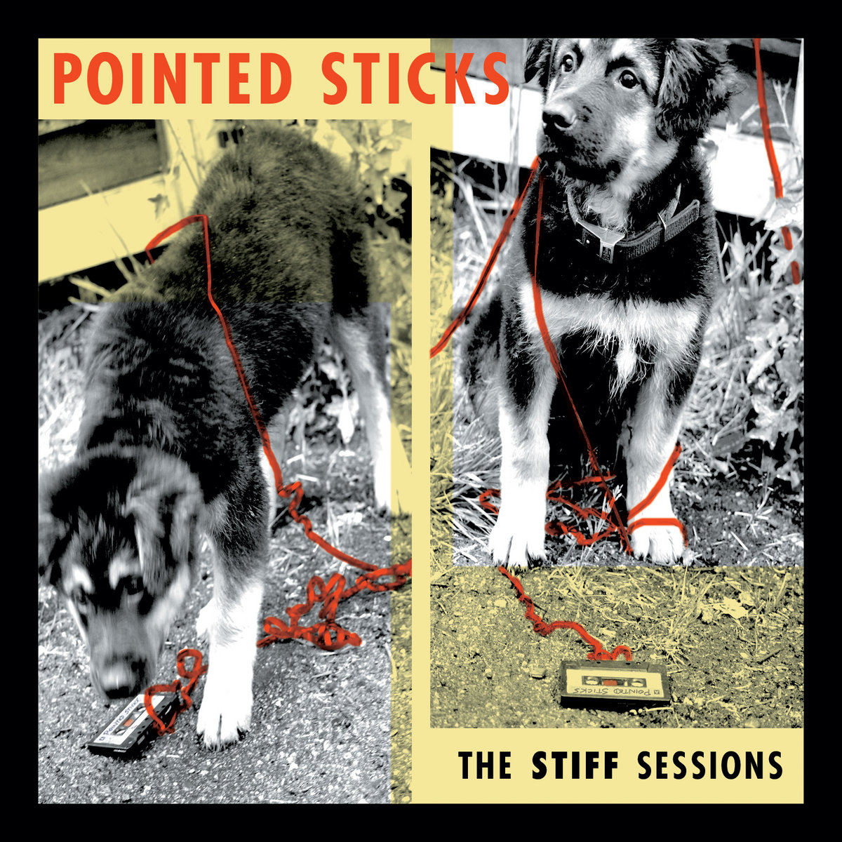 The Stiff Sessions | Pointed Sticks