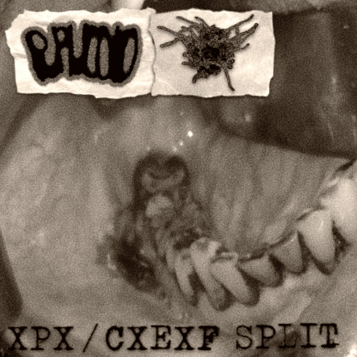 CxExF / Puruloid Split | Puruloid, CxExF | Puruloid