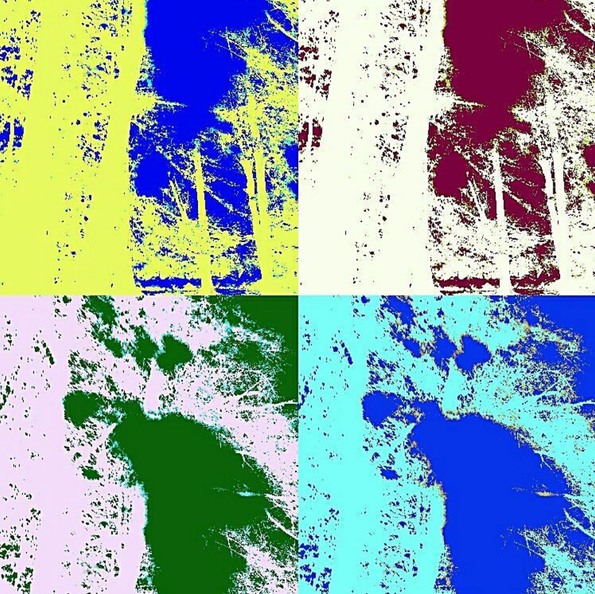 The Collection | Ed Toft | Tipi Valley