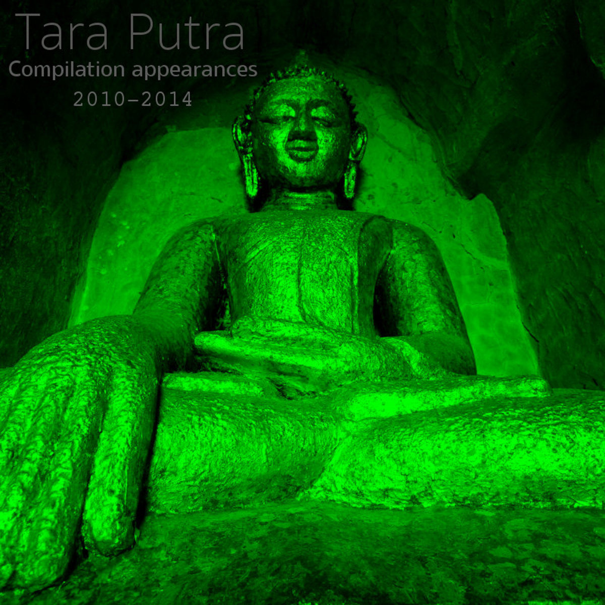 Appearances 2010-2014 | Tara Putra