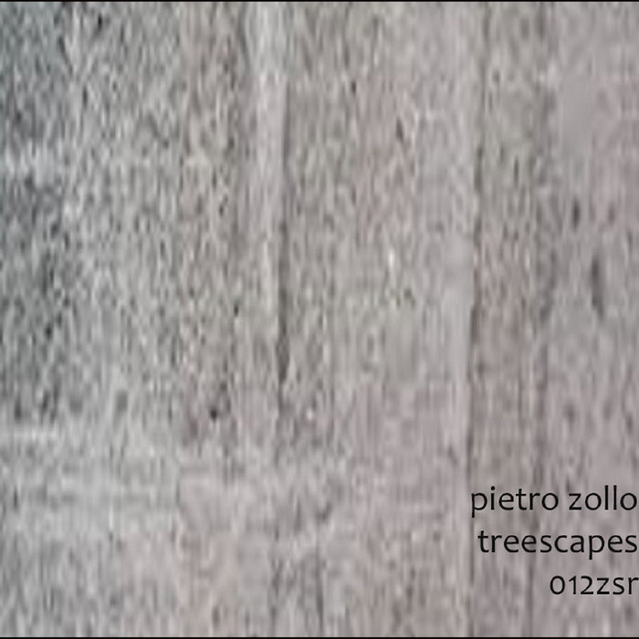 012ZSR - treescapes | pietro zollo | zero sum recordings