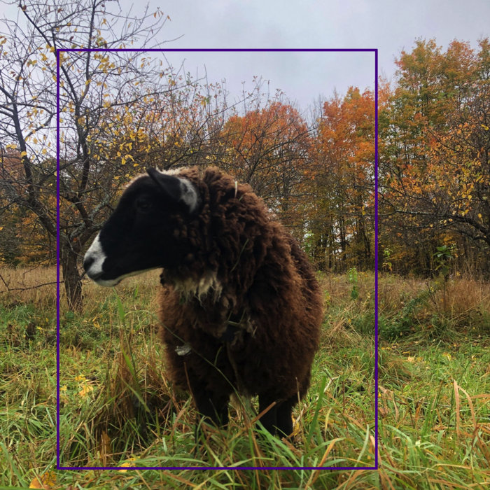 Batch Three | Oldies