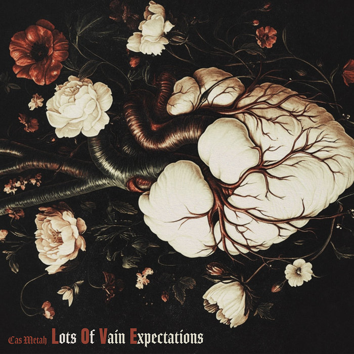 Lots Of Vain Expectations | Cas Metah