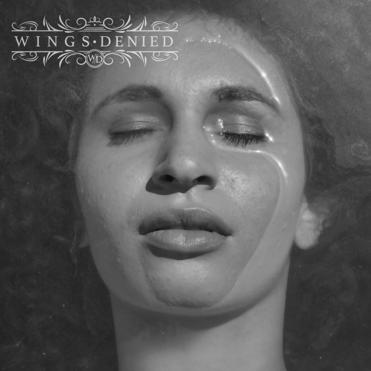 Plastic Tears | Wings Denied