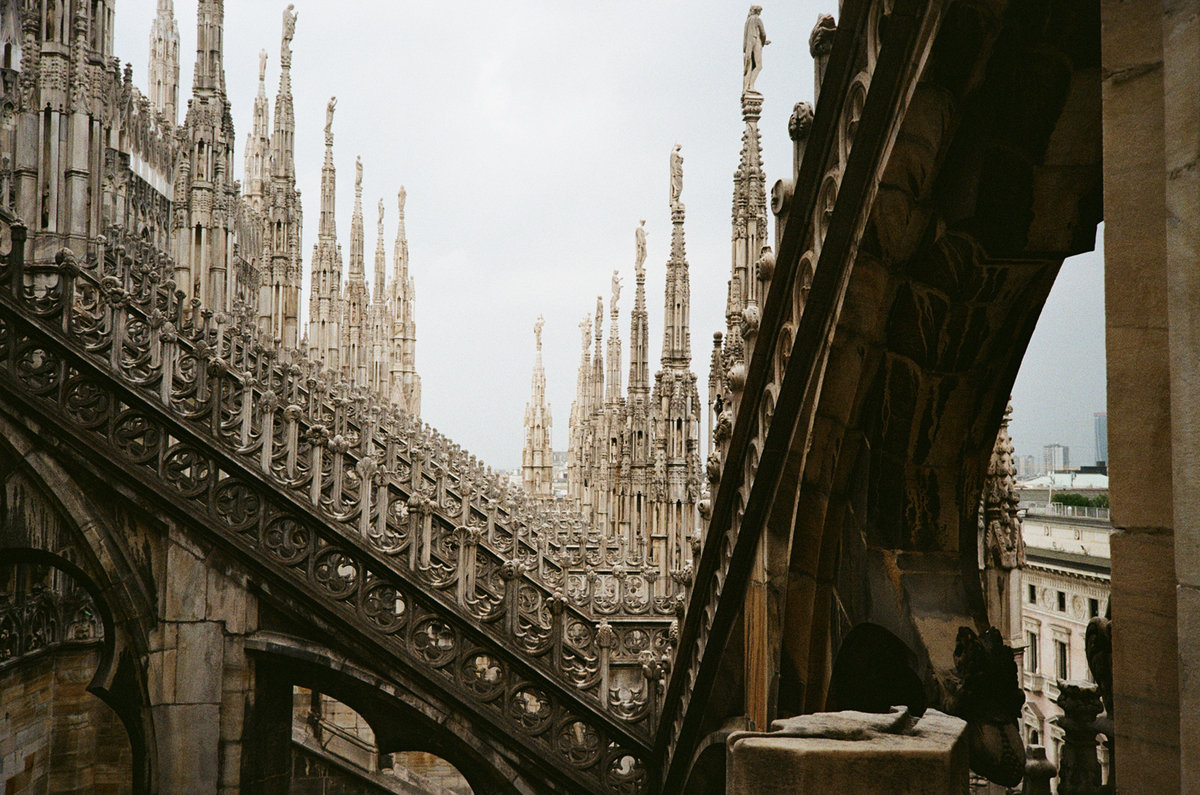 grog, weasel, friend | jack banjo courtney