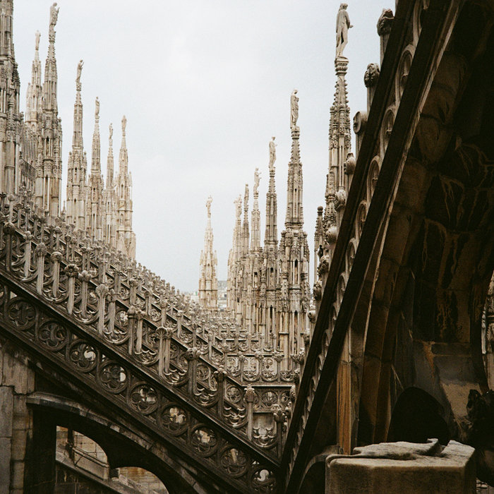 grog, weasel, friend | jack banjo courtney