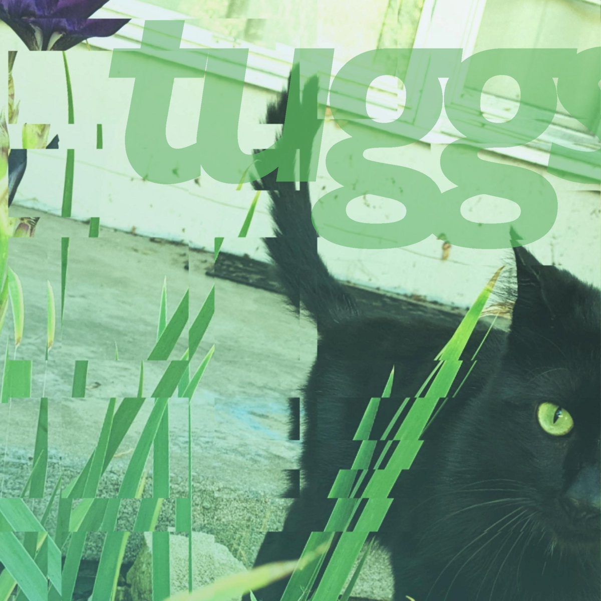 Cutting Board | Tuggs