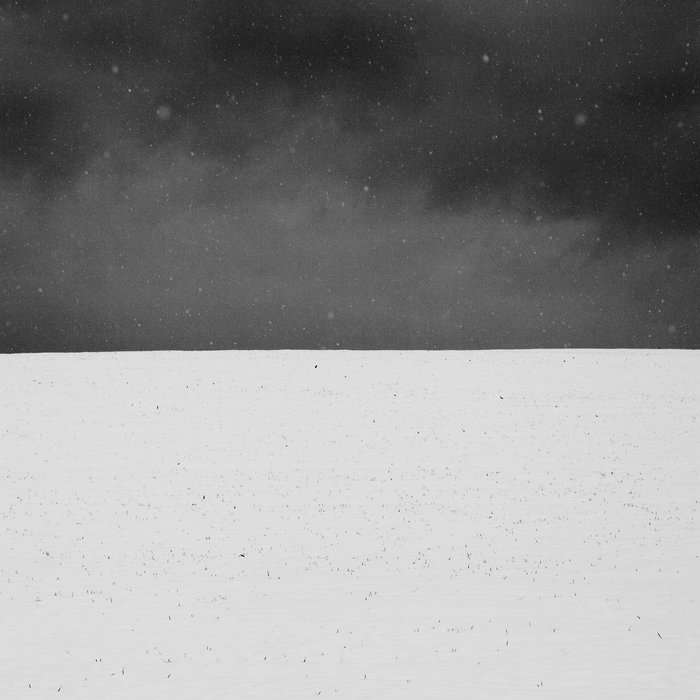 A Sequence Of Moments | Ali Ferguson