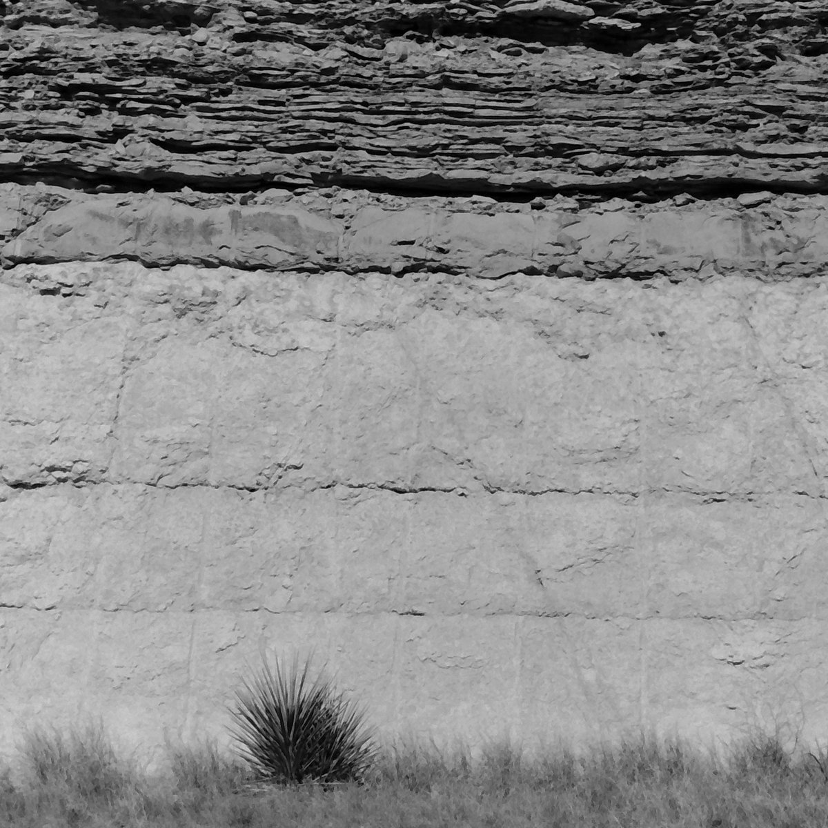 The Land Ethic, Second Spring 2023 | Andrew Weathers