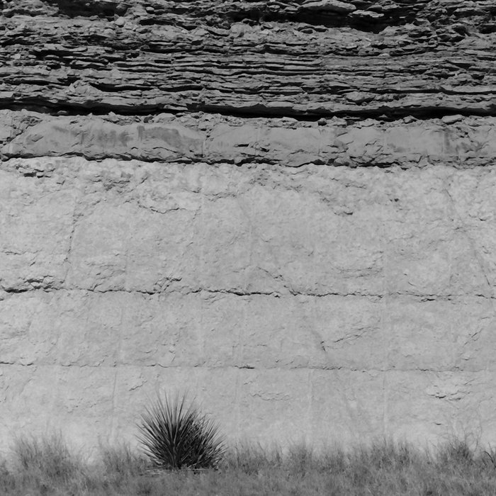 The Land Ethic, Second Spring 2023 | Andrew Weathers