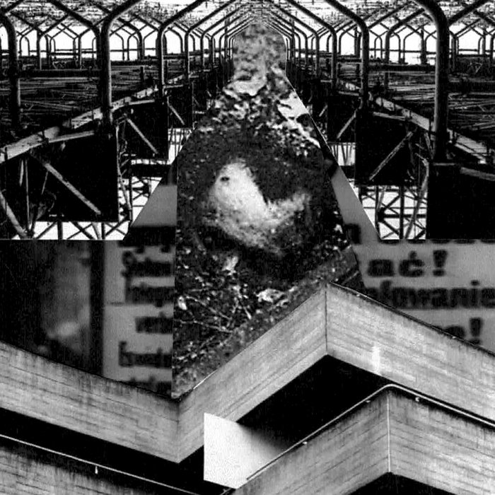 Panarchism | Willowbrook | Trust Collective