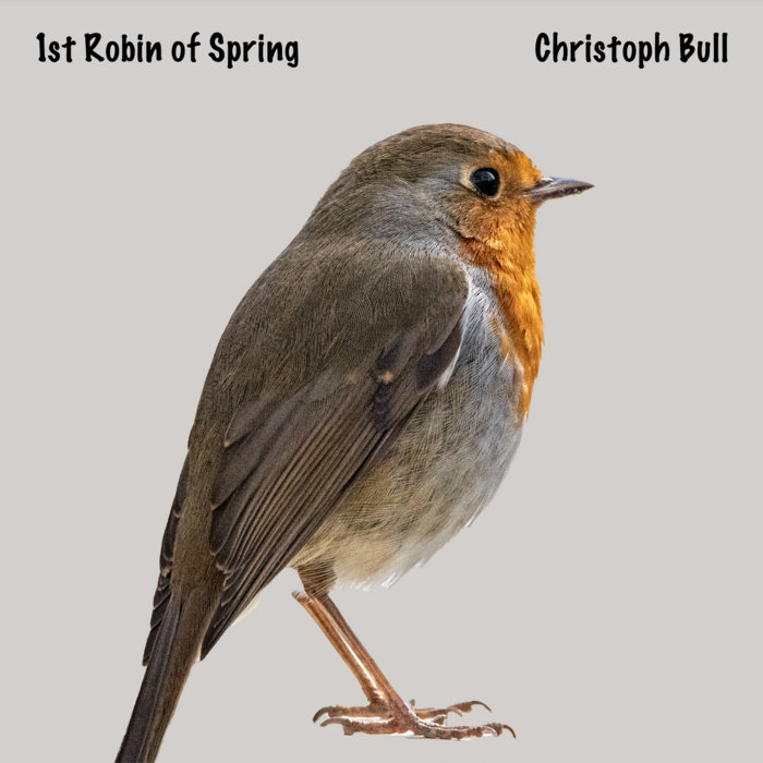 1st Robin of Spring - Single | Christoph Bull