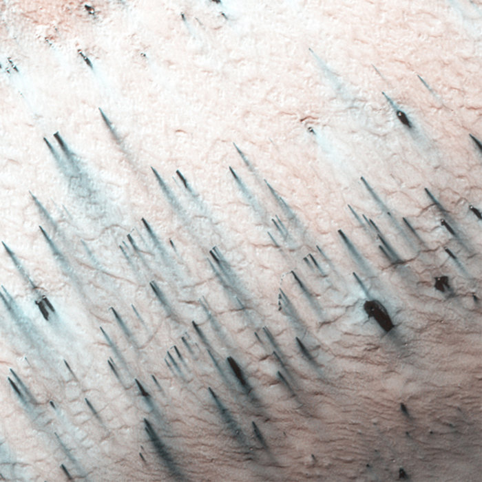 TRANS BUDDHA (initial version) | Auroson