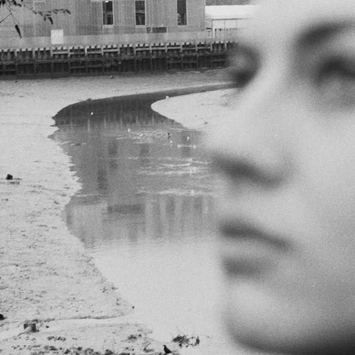 The Line | Glass Eel | Memorials of Distinction