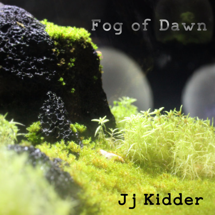 Fog of Dawn | Jj Kidder