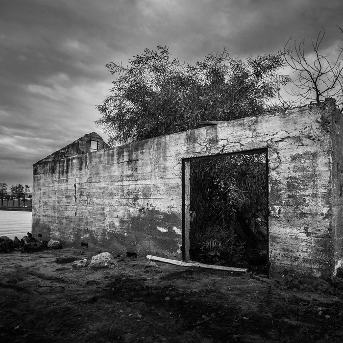 Covers | The Late Break