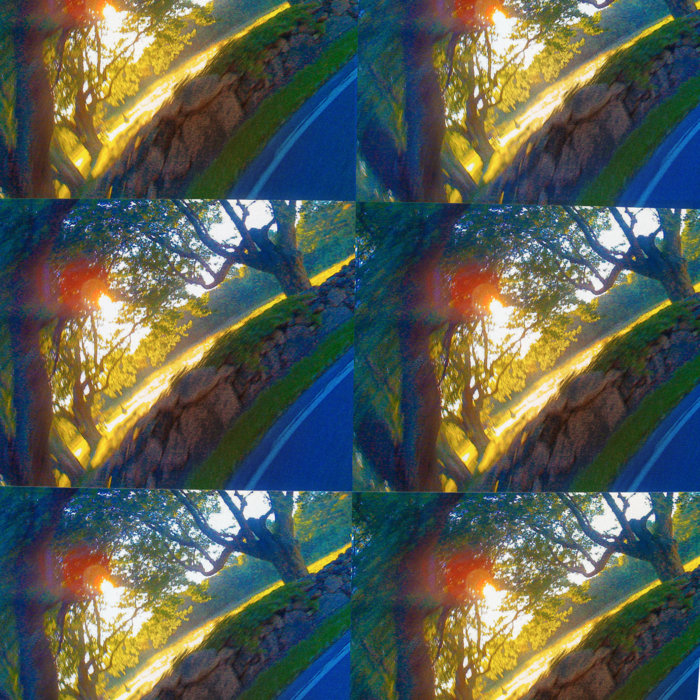 Tour de Hog | Road Hog | ROAD HOG