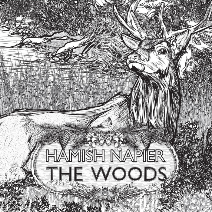 The Woods | Hamish Napier