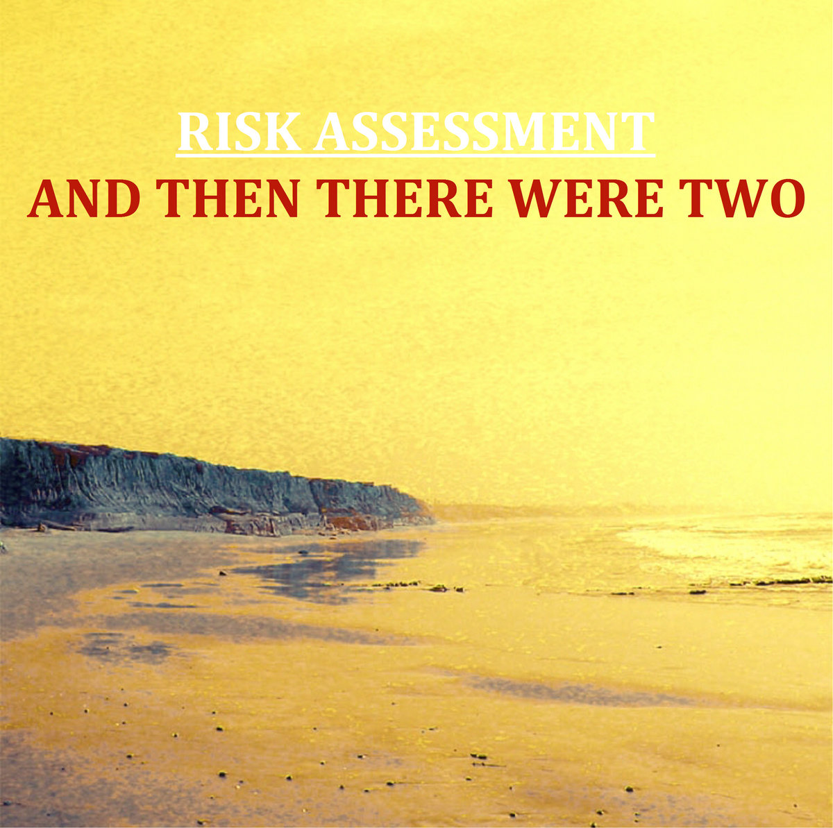 AND THEN THERE WERE TWO | RISK Assessment