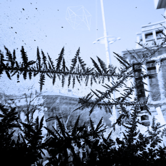 BLIGHT | people comix