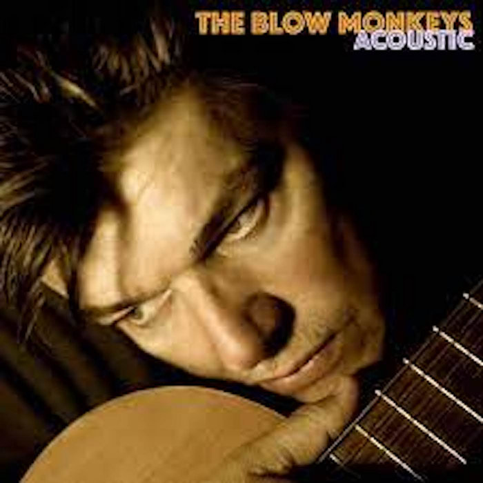 Acoustic Blow Monkeys | Dr Robert