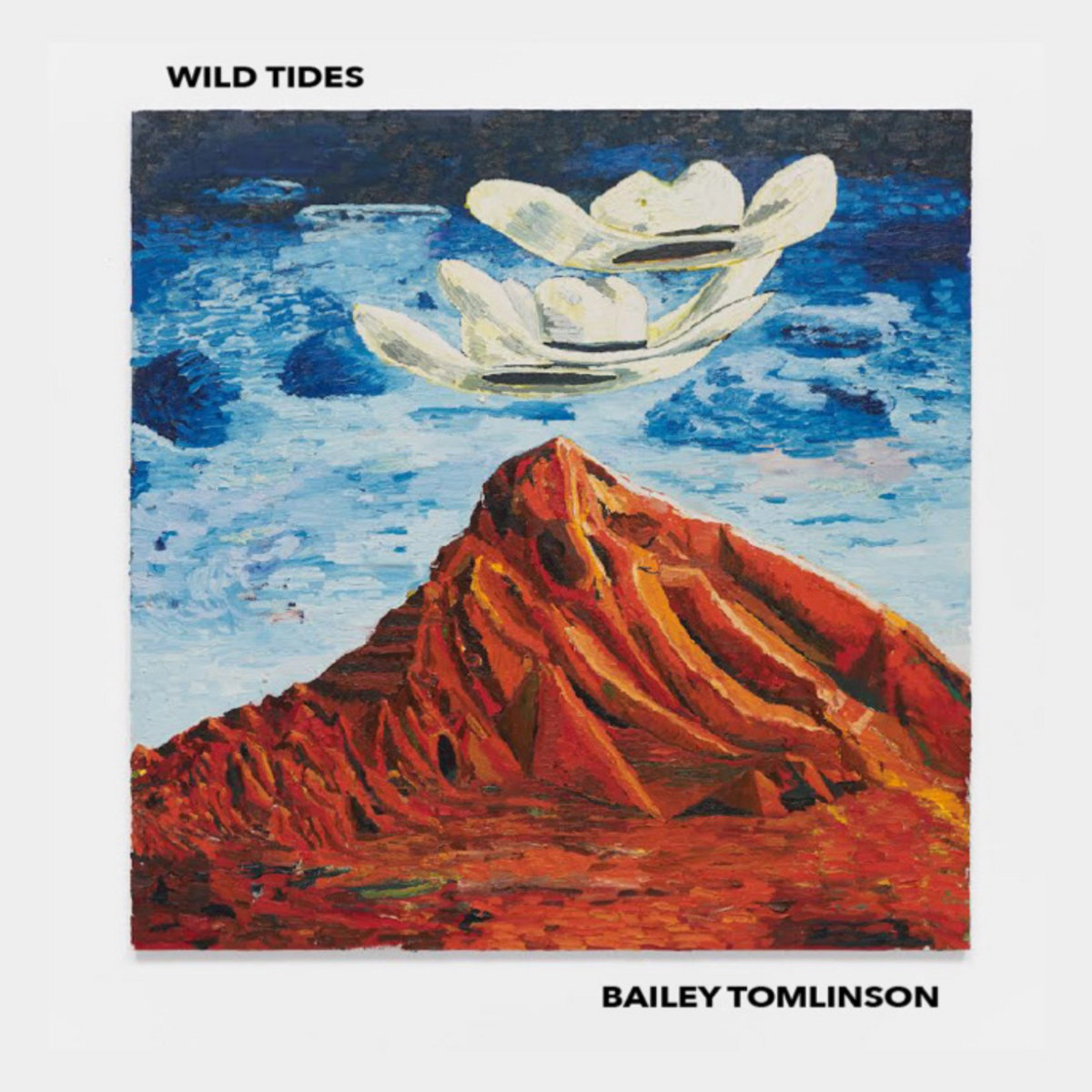 Wild Tides | Bailey Tomlinson