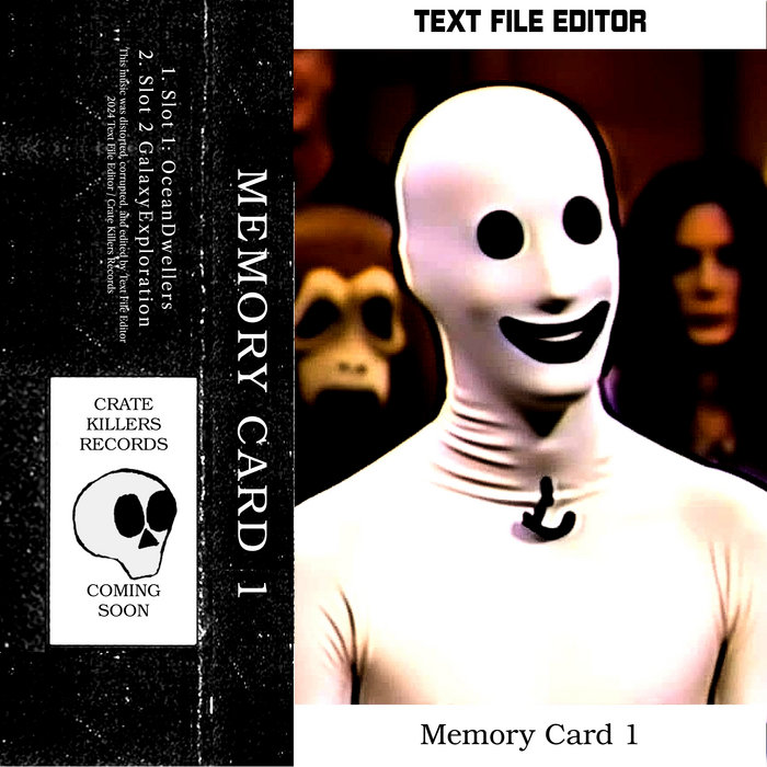 "Memory Card 1" | Text File Editor