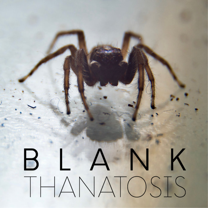 Thanatosis | Blank