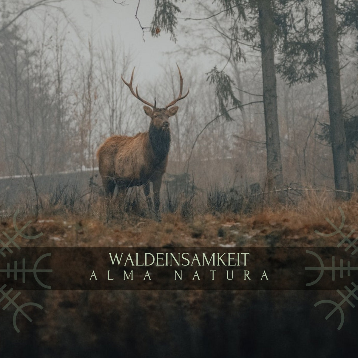 WALDEINSAMKEIT - ALMA NATURA | Waldeinsamkeit | SATHORYS ELENORTH