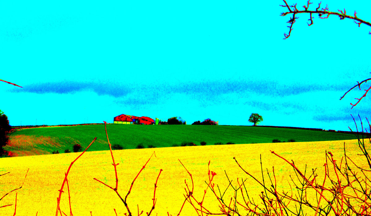 cowdown farm buildings | Simon Aulman