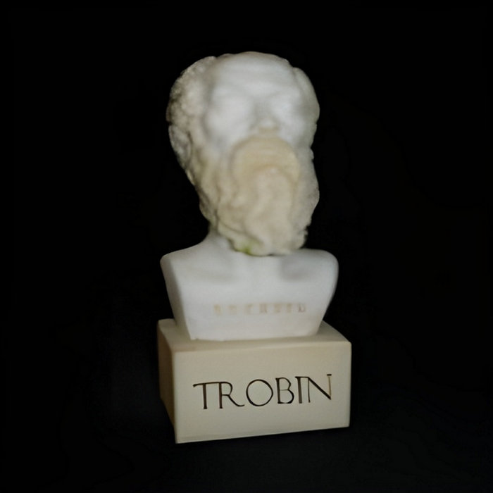 Trobin | Trobin