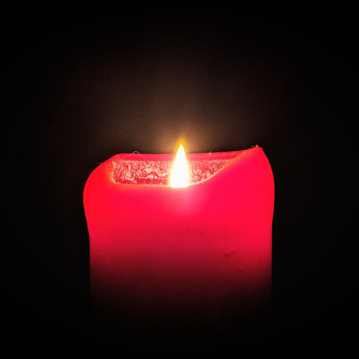 Outbreak/ Quarantine Space | Noctem Vulpes