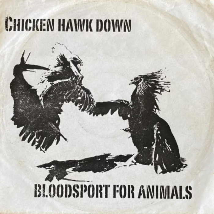 Bloodsport for Animals | Chicken Hawk Down | House Show