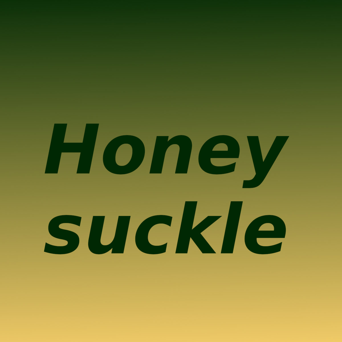 Honeysuckle | Elliott Jacobs