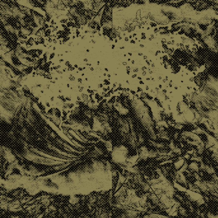 Absolute interitum omnium vita in universo | Brucellosis