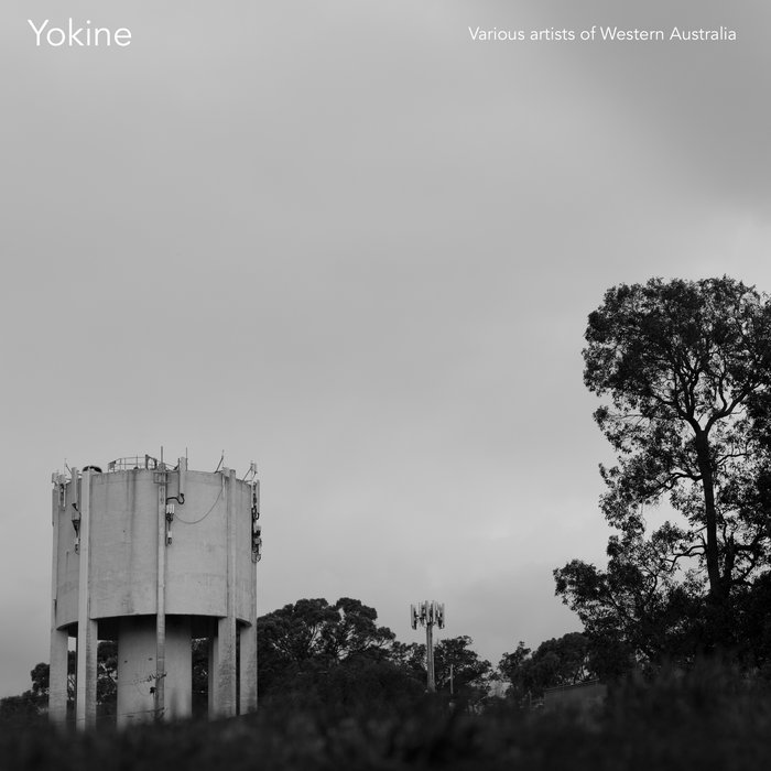 Yokine | Various artists from Western Australia | dog park