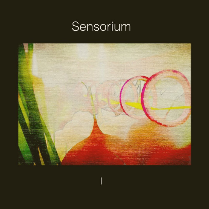 Sensorium I | Sensorium | The Me